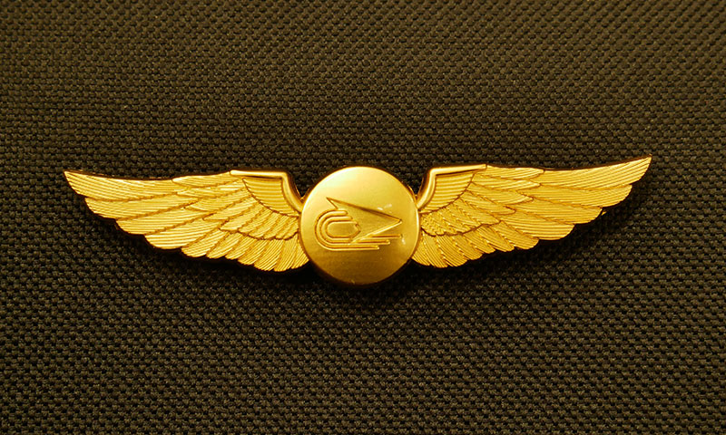 BFC1, BFC2, PPL Course Structures | Singapore Youth Flying Club (SYFC)